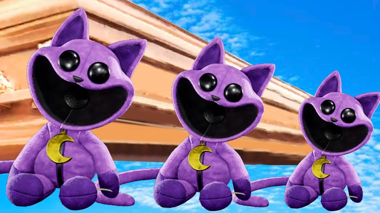 Cat Nap - Animation Coffin Dance Song [COVER] - YouTube