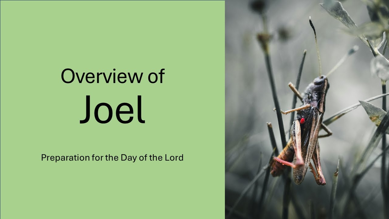 Overview of the Prophet Joel - YouTube