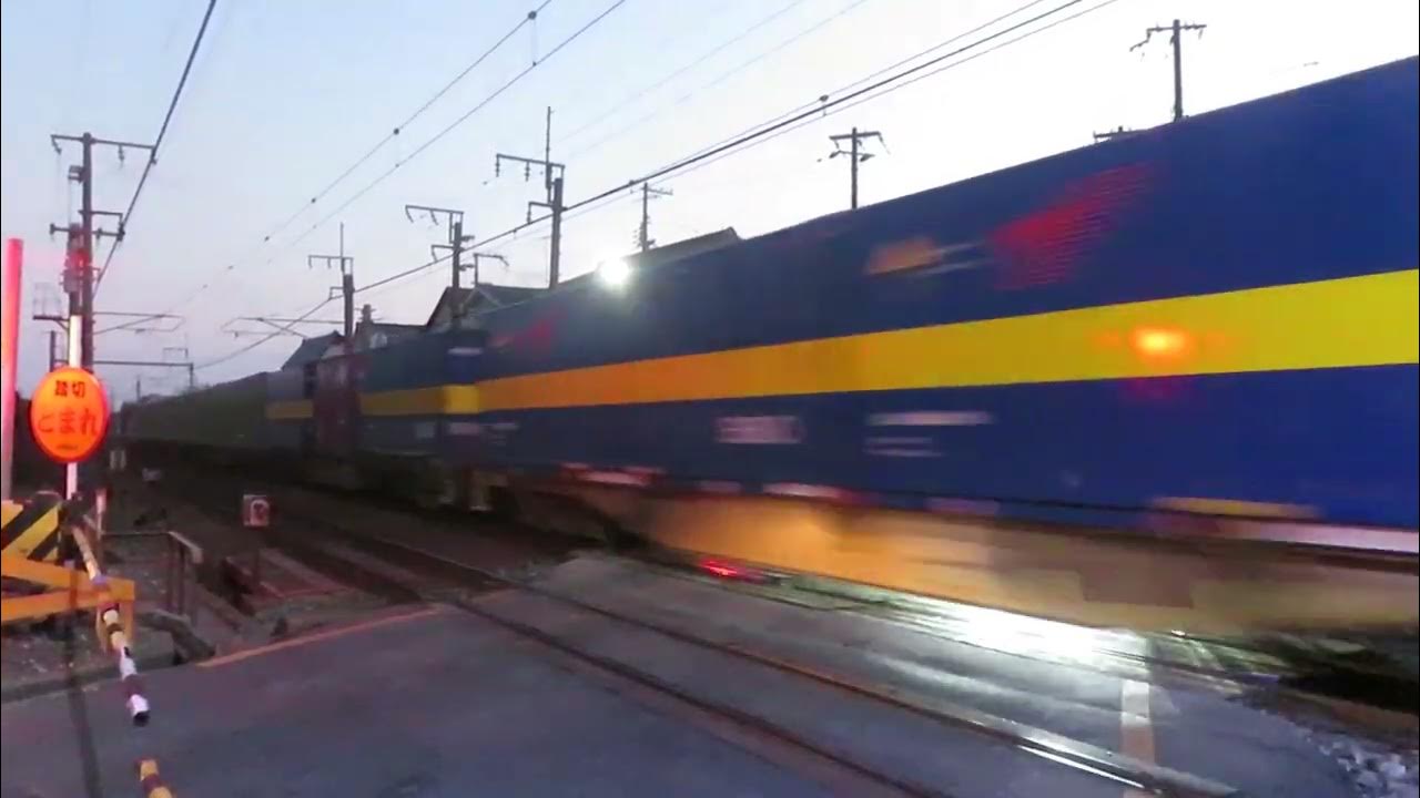 JR貨物 EF210-351号機（吹田）＋コキ20両 貨物列車5061レ カンガルーライナーTF60 2025.01.30 - YouTube