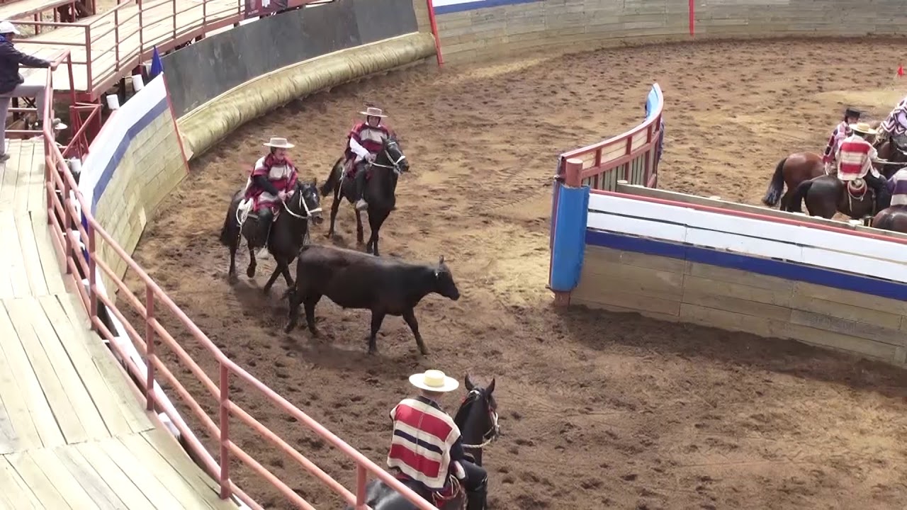 Serie Caballos rodeo Interasociaciones club Parral Cordillera 01 de ...