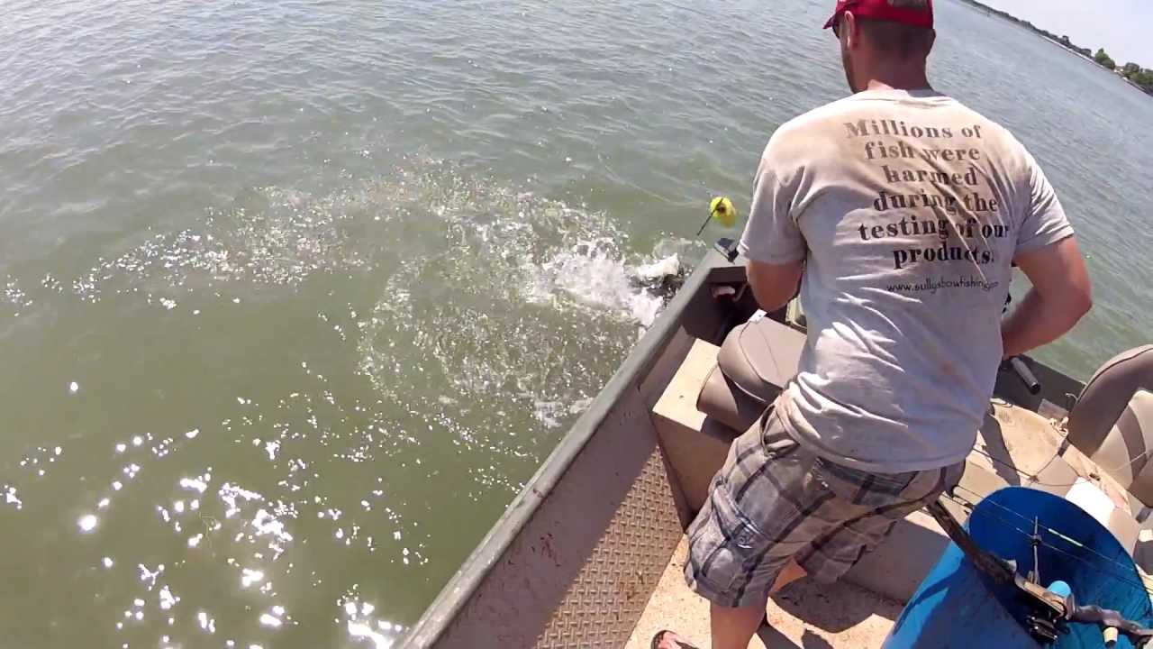 Bowfishing Rays in Maryland - YouTube