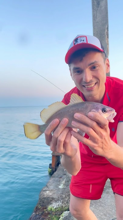 Летняя рыбалка в Сочи 🐠 #fishing #рыбалка #sochi #рыба #сочи #море # ...