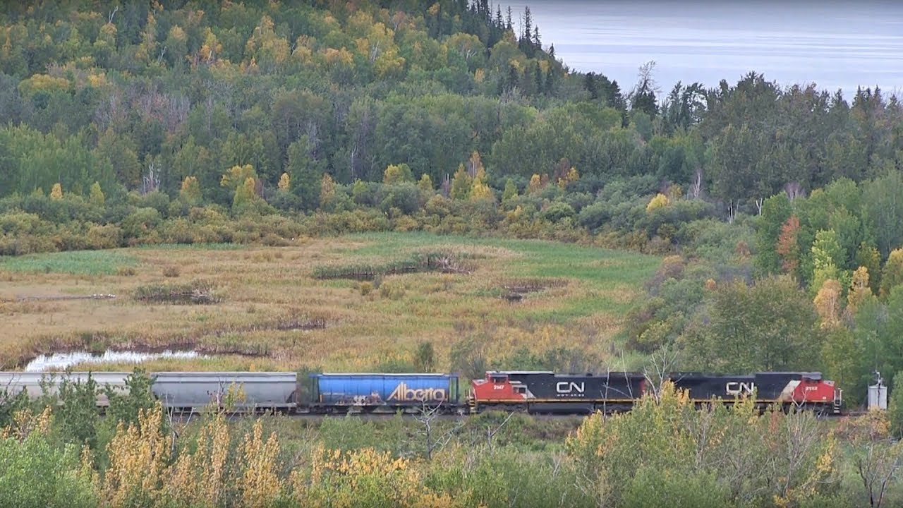 CN Train Spotting HD: CN C40-8W 2152 & 2147 Leads Q199 w/ Rare K3LL ...