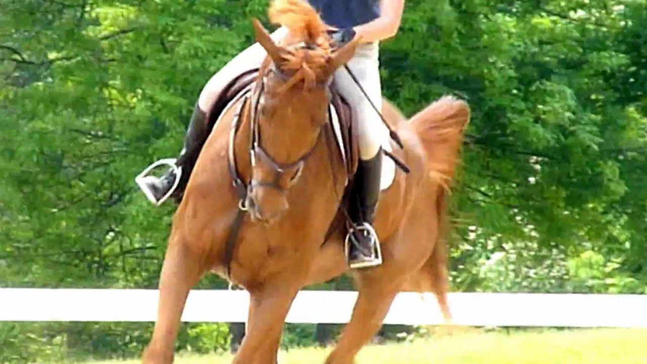 Frank Madden Clinic 2011 *WATCH IN 1080HD!!!* - YouTube