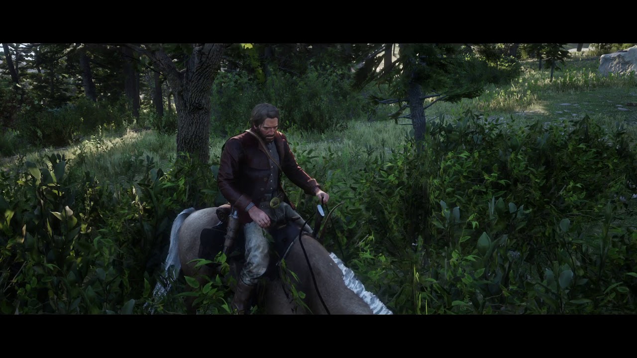 Red Dead Redemption 2 story - YouTube