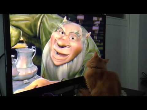 Hürremin televizyon keyfi :)