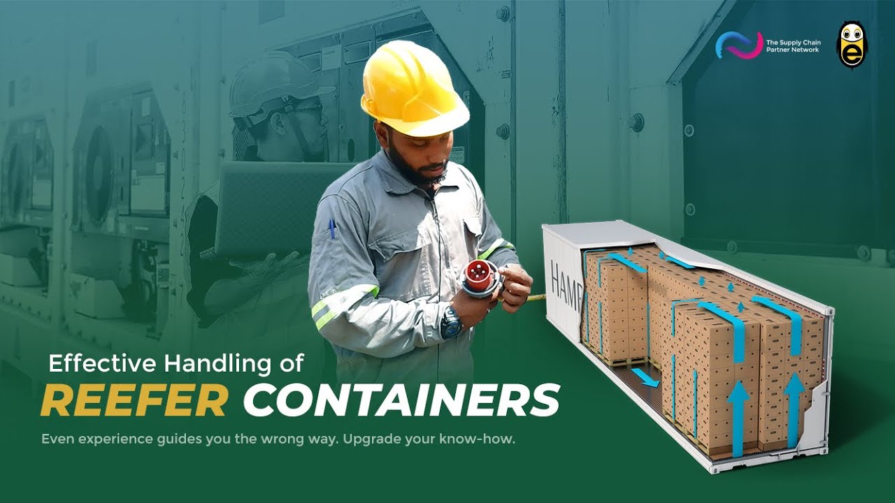 eBees™ - Effective Handling of Reefer Containers - YouTube