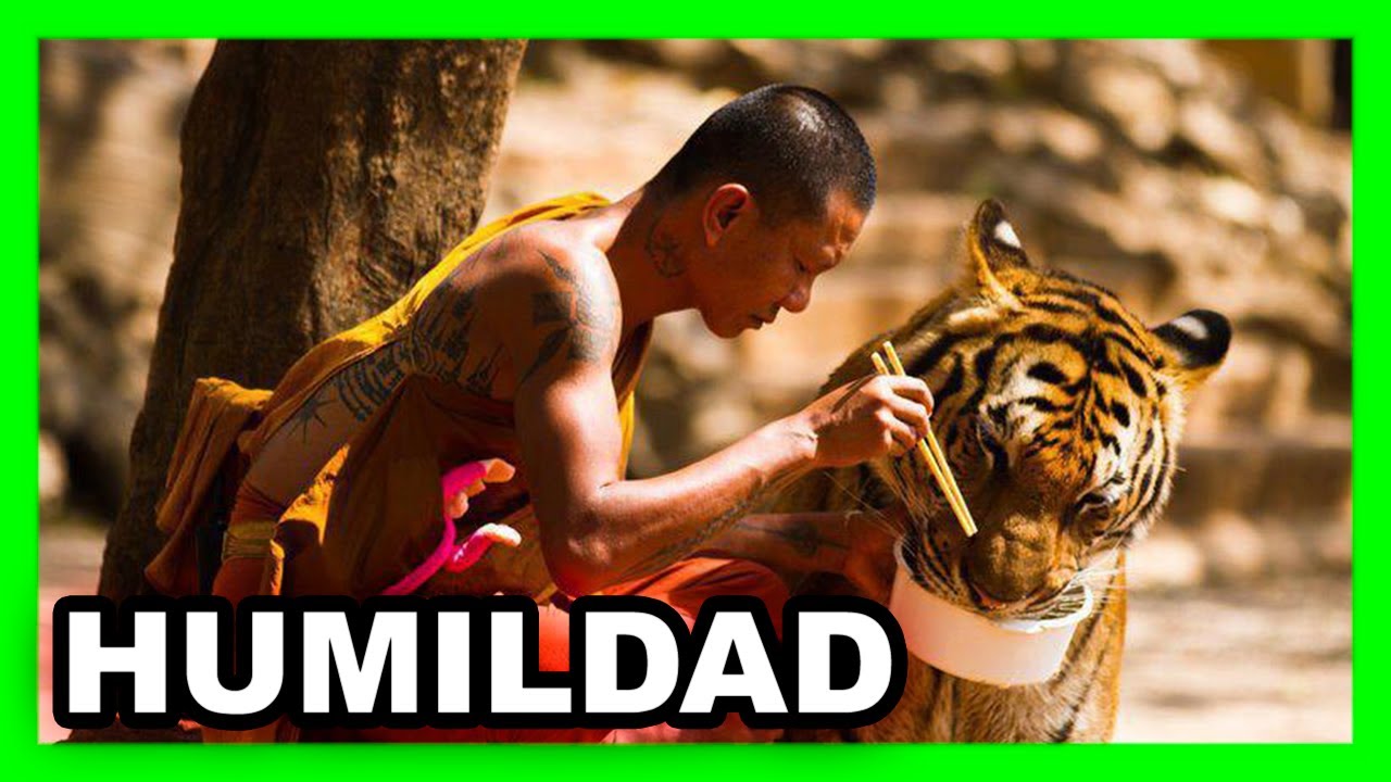 🏆 ¿ERES HUMILDE? | La VERDADERA HUMILDAD y las VENTAJAS de ser HUMILDE ...