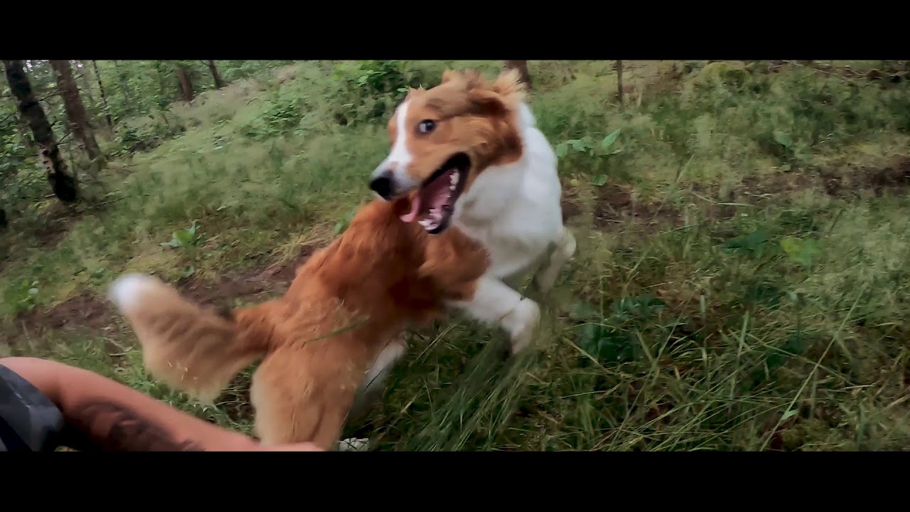 WET RUN | Nicholas Malm - YouTube