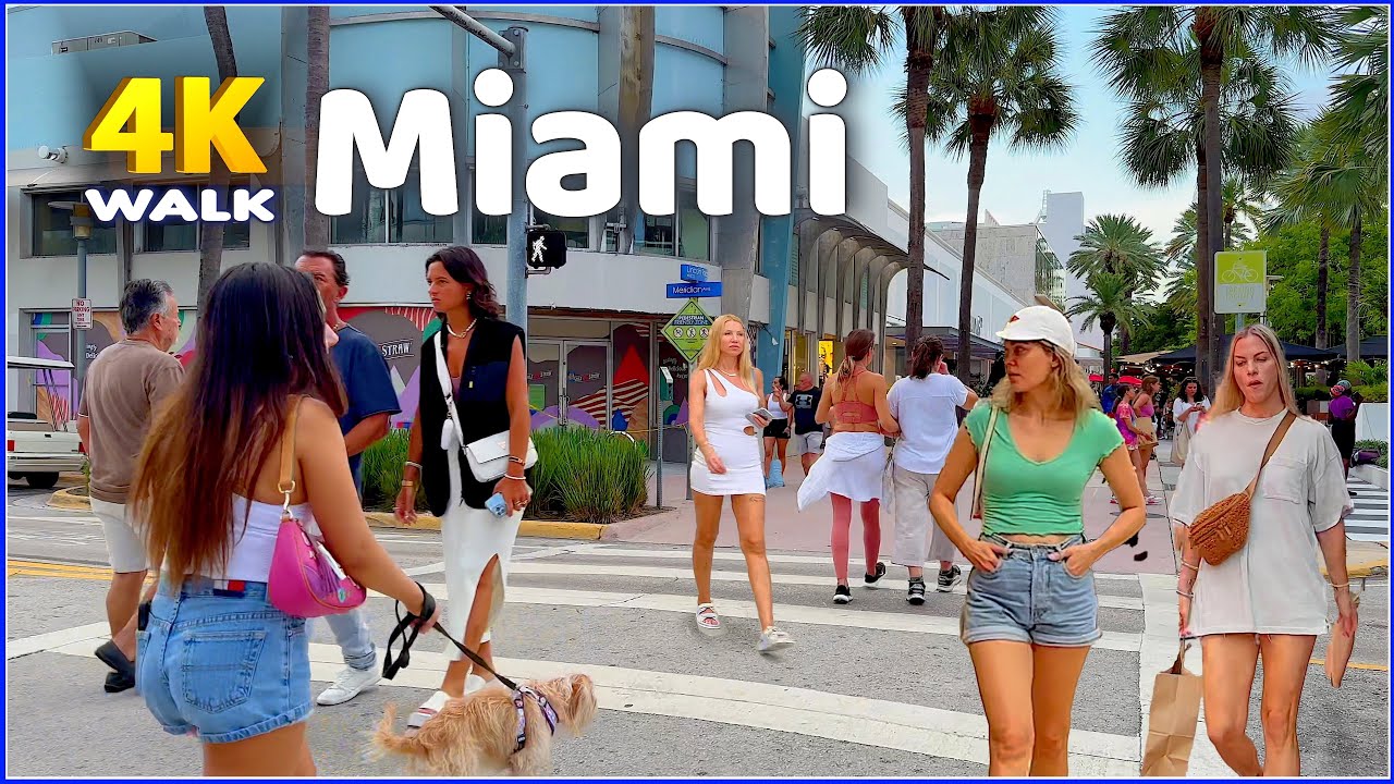 【4K】𝐖𝐀𝐋𝐊 ☘️ MIAMI 🇺🇸 USA 🇺🇸 4K video 𝐇𝐃𝐑 ! - YouTube
