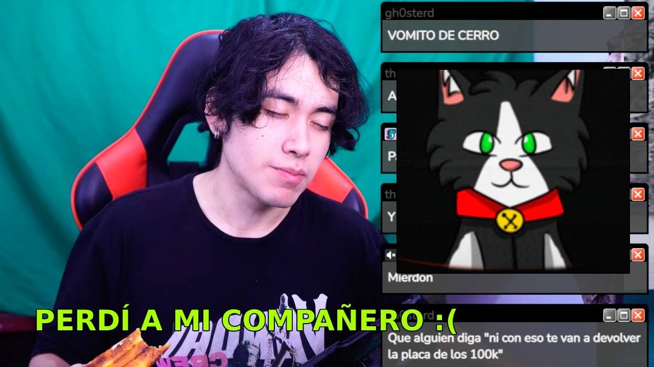 Riczer habla del fallecimiento de gato piola :( y su canal nuevo - YouTube