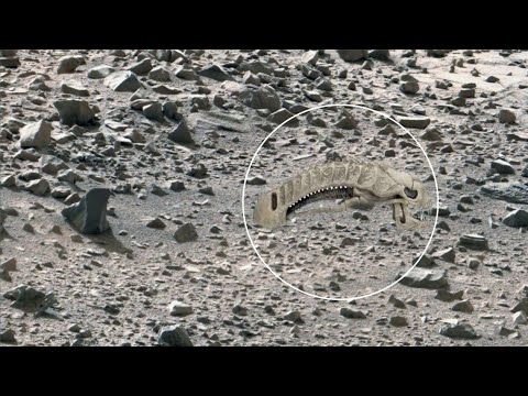 Perseverance Mars Rover Sends shocking New Best clip footage of Martian ...