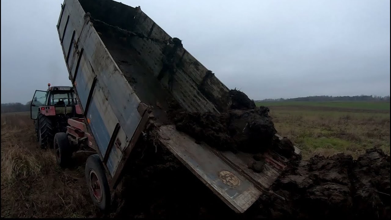 Don Bamber u Gregorio El'Jastrzębios czyli akcja obornik cz.3 u ...