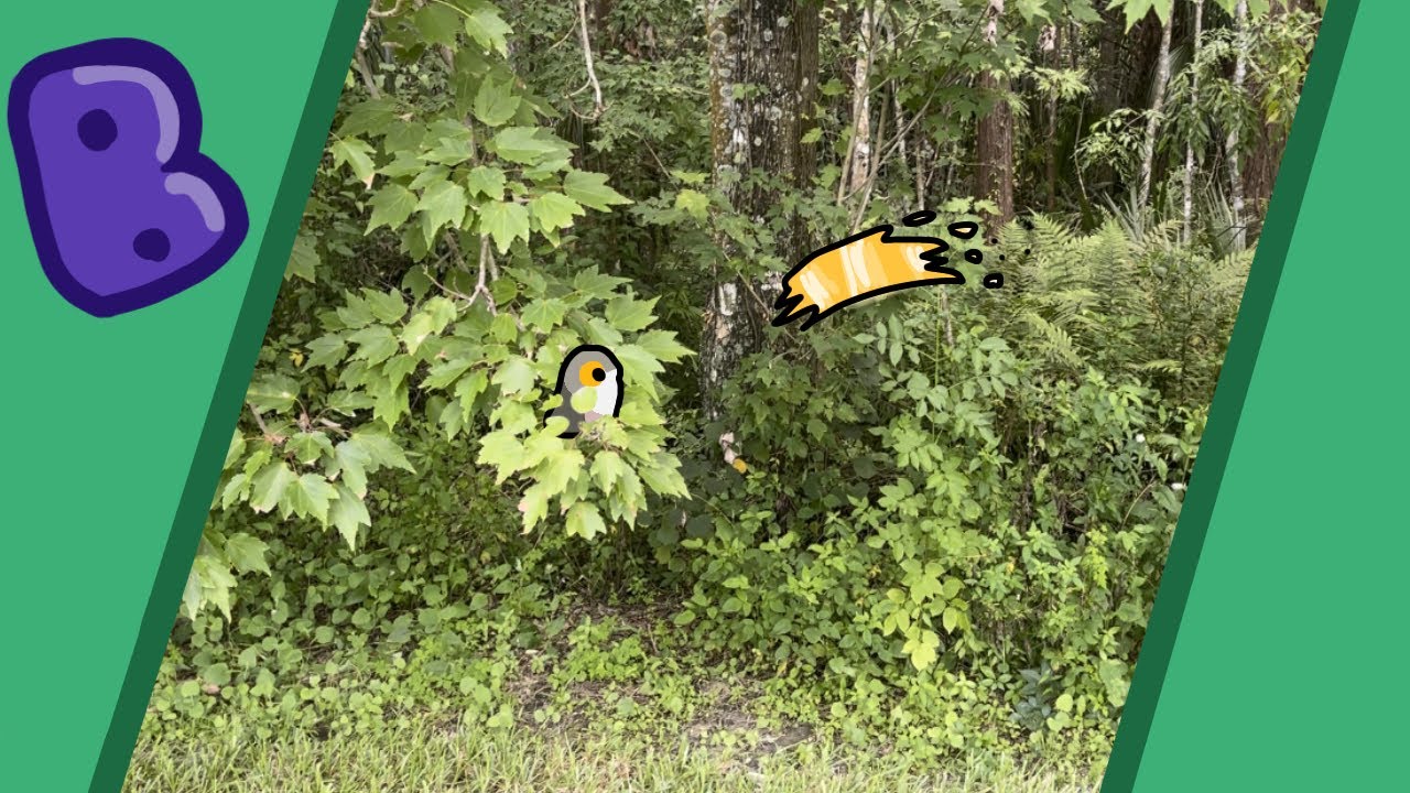 BLOOPERS; Golden Child | Pokémon Yellow - YouTube