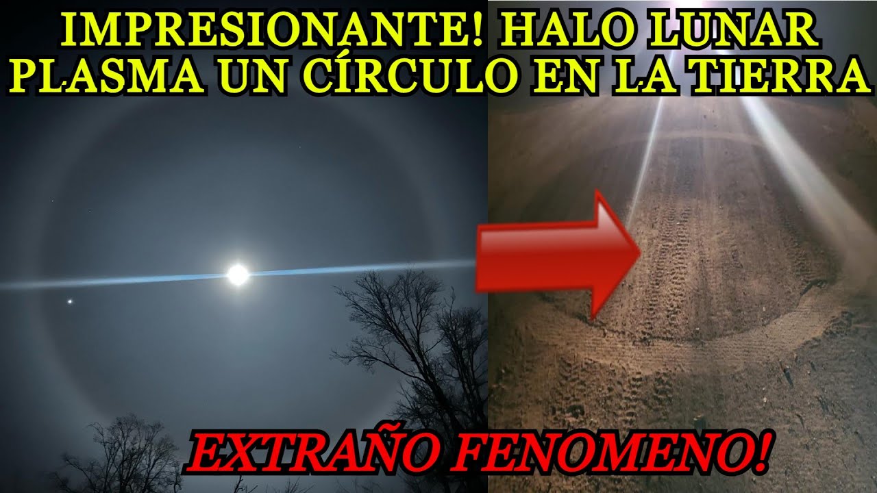 Espectacular Aparece HALO LUNAR Hoy 23 noviembre 2023 Anillo Halo de ...