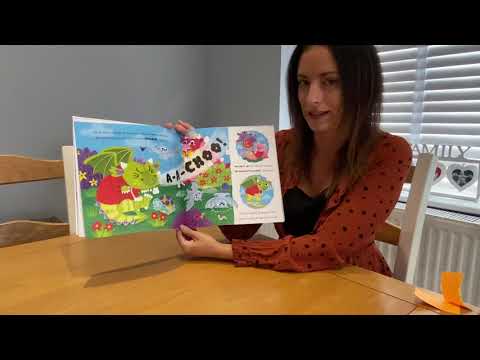 Year 2 Guided Reading Lesson - Dragon to the Rescue. - YouTube