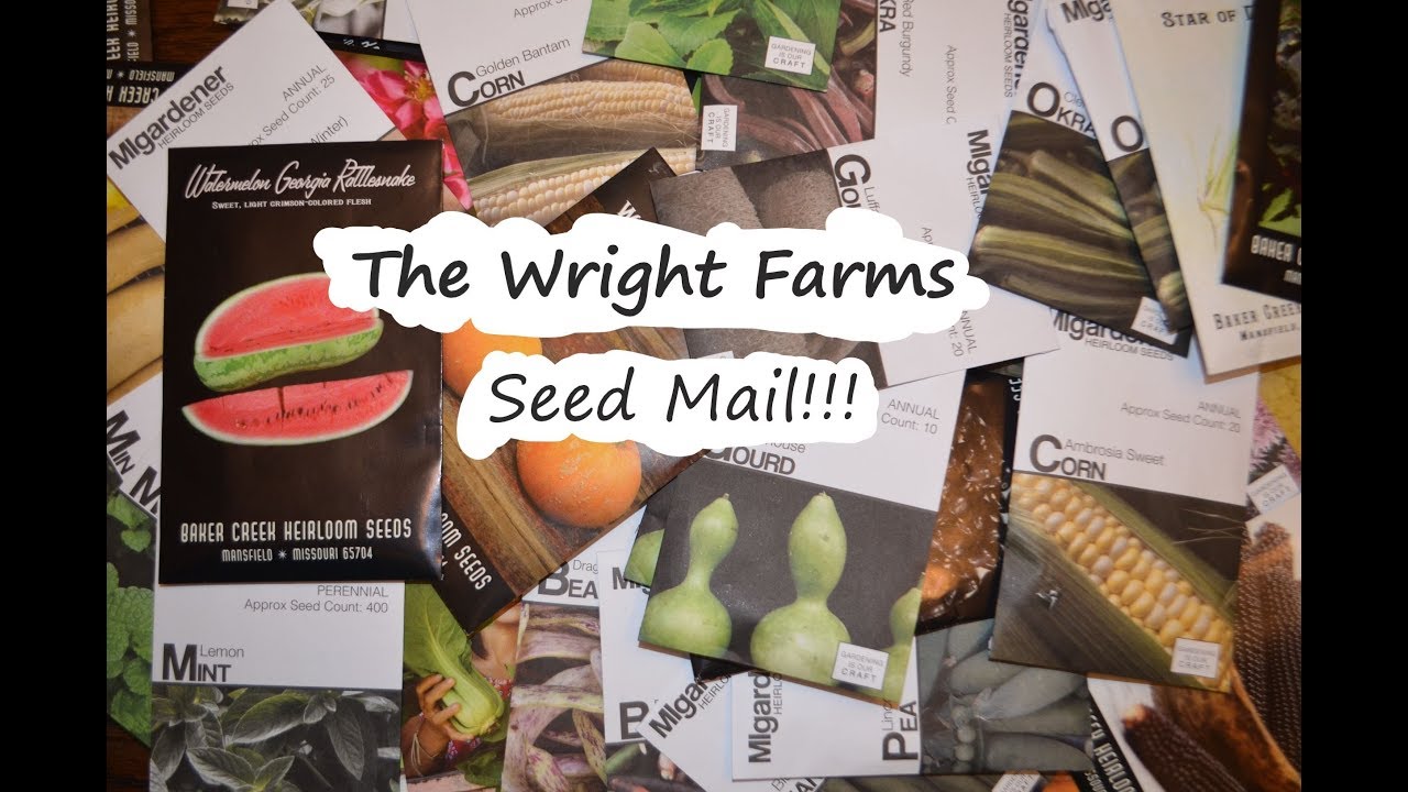 Seed Mail!! - YouTube