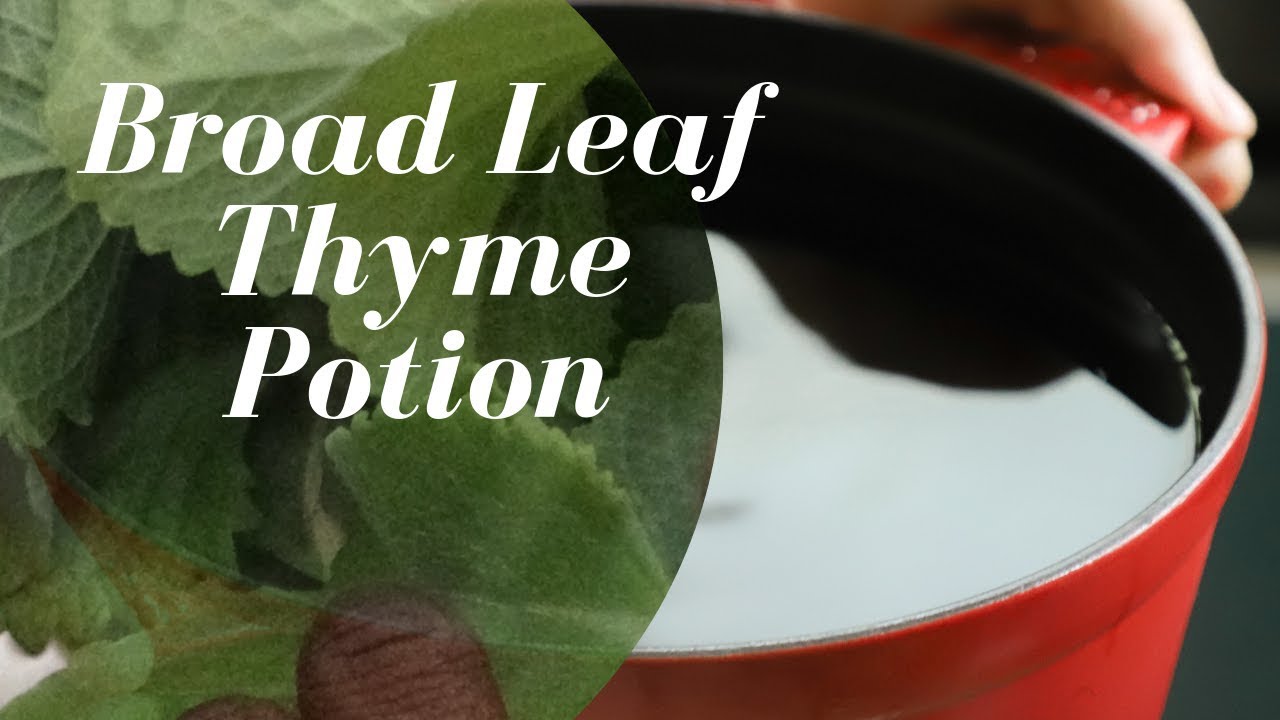 Broad Leaf Thyme Refining the Mixture - YouTube