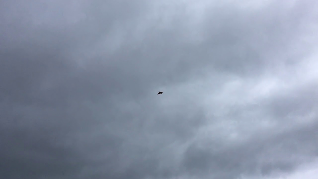 IAD Serpent - YouTube