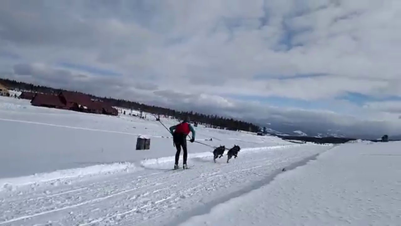 Ski Joring with dogs at Snow Mountain Ranch - YouTube