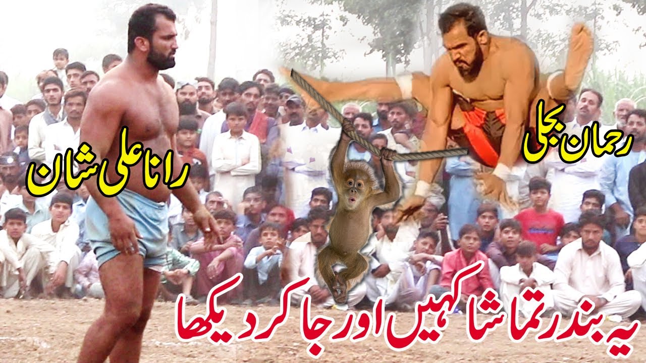 Rana Ali Shan | Rehman Bijli | Shafiq Chishti | New All Open Tamachy ...