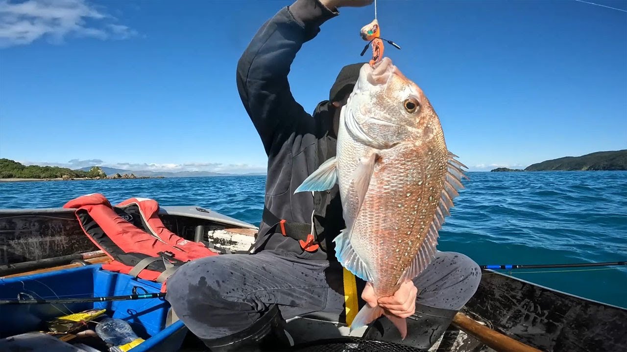 These Lures Catch Good Fish! Late August Fishing Trip. Kapiti. 2022 ...