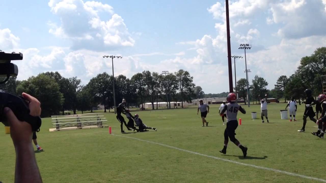 Starkville WR Raphael Leonard Game Winner - YouTube