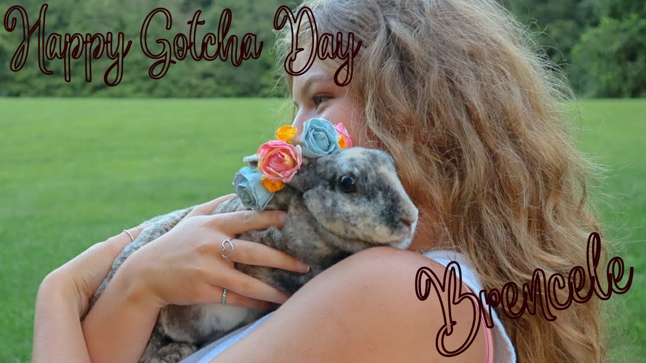 Happy Gotcha Day Brencele! (photos) - YouTube