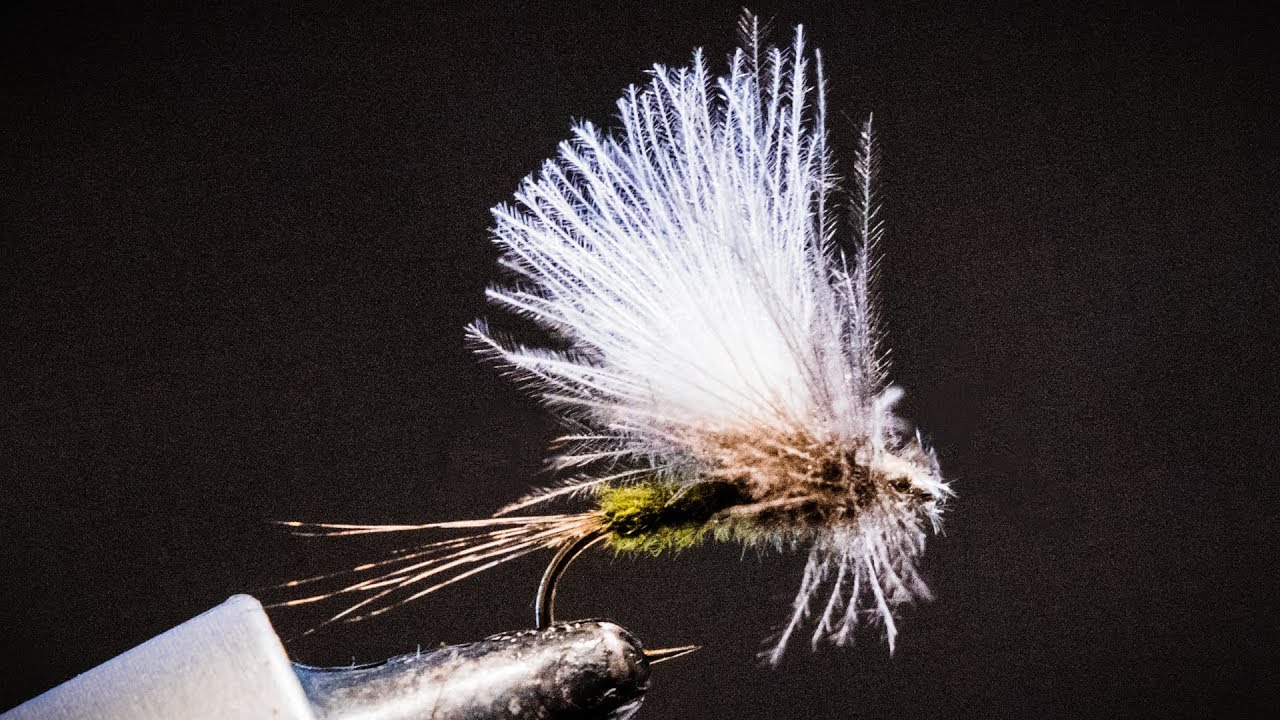 Fly tying with Andrew Herkes - how to tie CDC Blue Winged Olive - YouTube