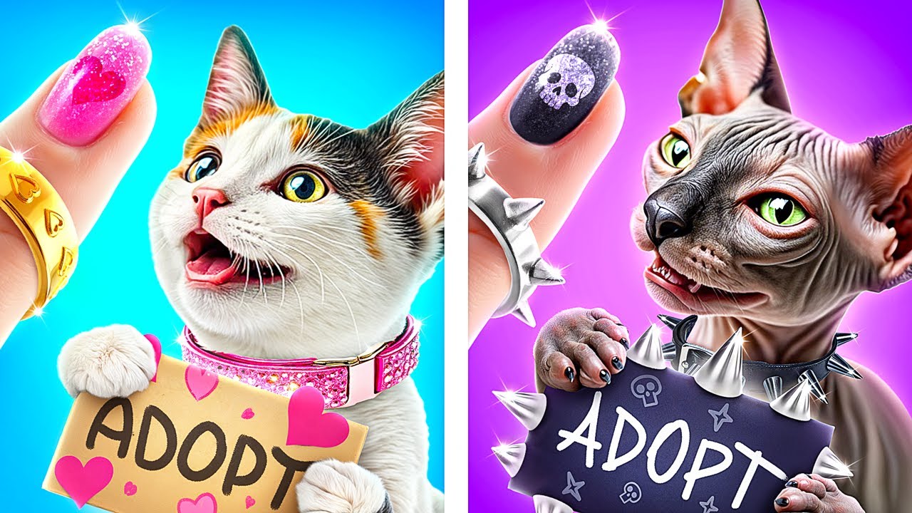 Good Cat vs Bad Cat! Makeover of Homeless Kittens - YouTube