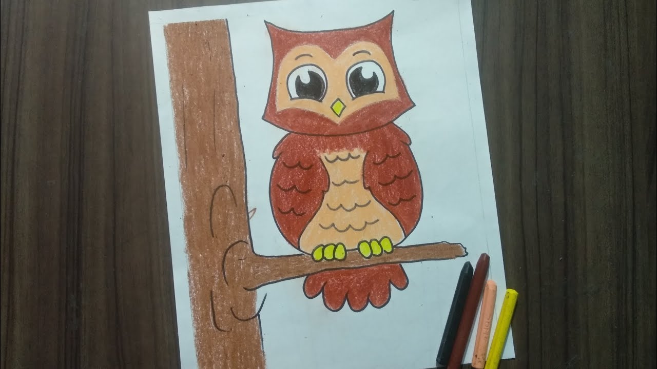 How To Draw Owl | Easy Drawing Owl | Birds Drawing - YouTube