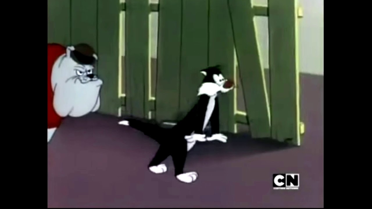 Sylvester runs into Spike and Chester - YouTube