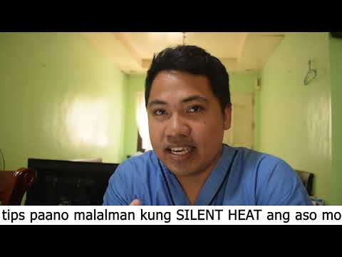 Dahilan ng SILENT HEAT sa aso