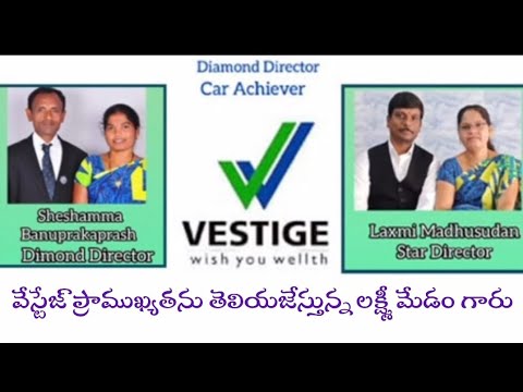 VESTIGE lo || star director || Lakshmi Madhusudan Garu || car achiever ...