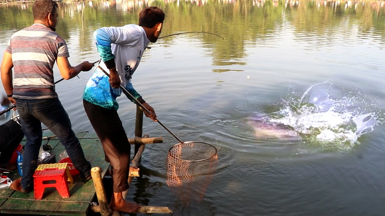 Hook Fishing | Big fish hunting by angler - YouTube