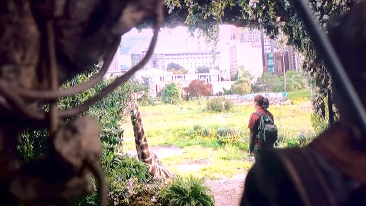 The Last Of Us TV Series - Giraffe Scene - YouTube