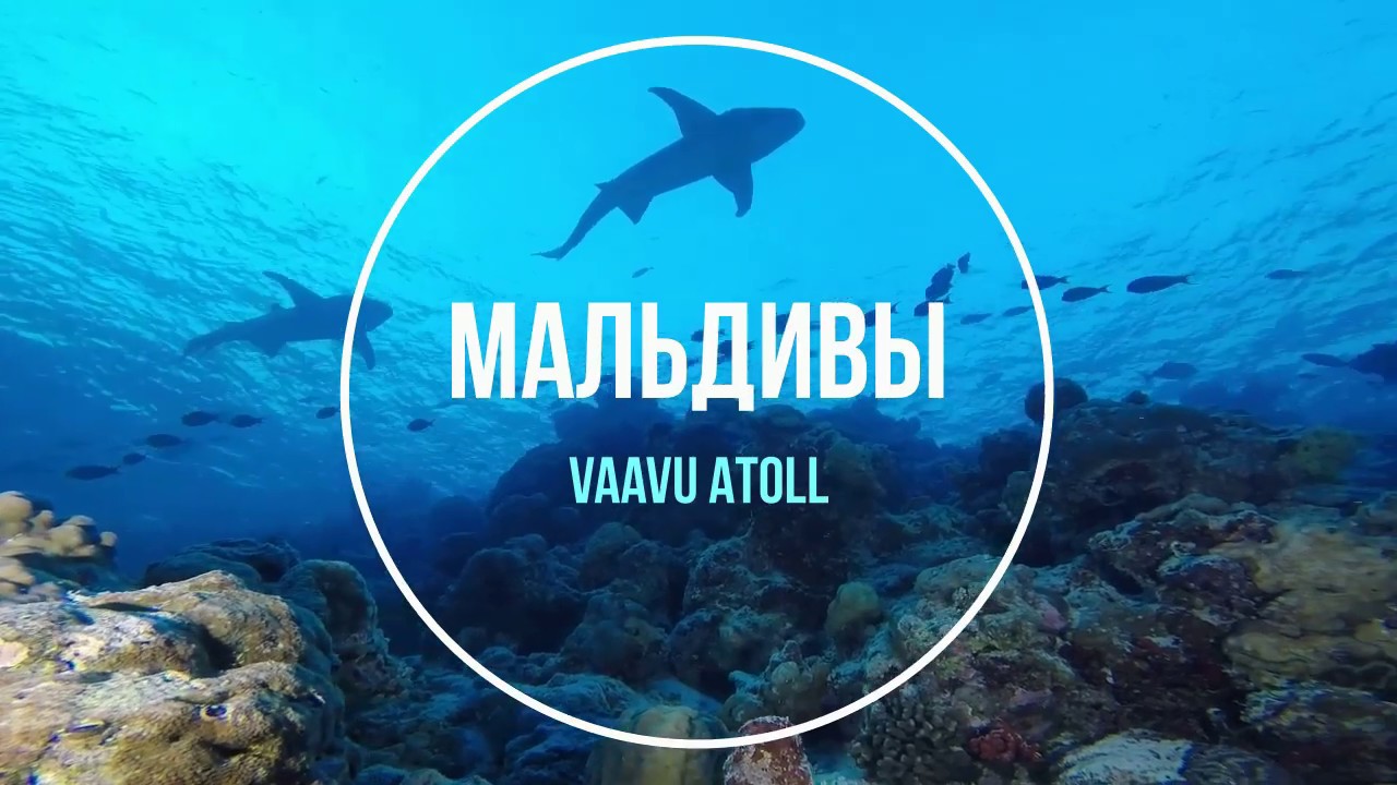 MALDIVES Vaavu Atoll - YouTube