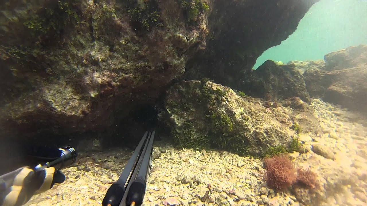 Weekend in Guam: Spear Fishing at Dadi Beach - YouTube