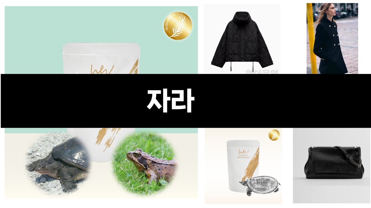 2024년 판매랭킹 상위품목 추천 ★ 자라 오늘의 인기추천 BEST ㅣ추천템ㅣ생활 꿀템ㅣ - YouTube