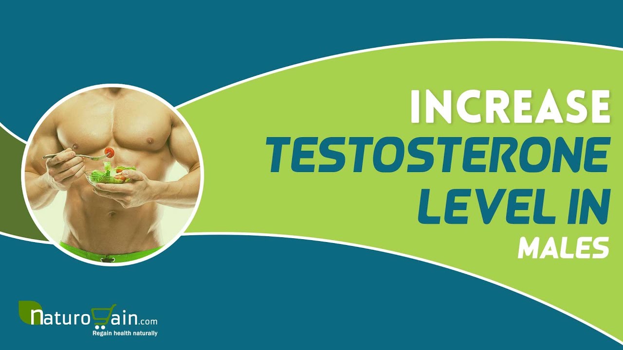 How to Increase Testosterone Levels in Males [Exercises and Pills ...