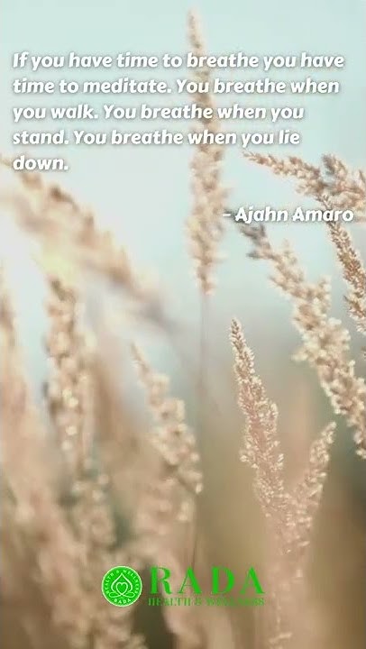 Mindfulness is a way of befriending ourselves and our experience - YouTube