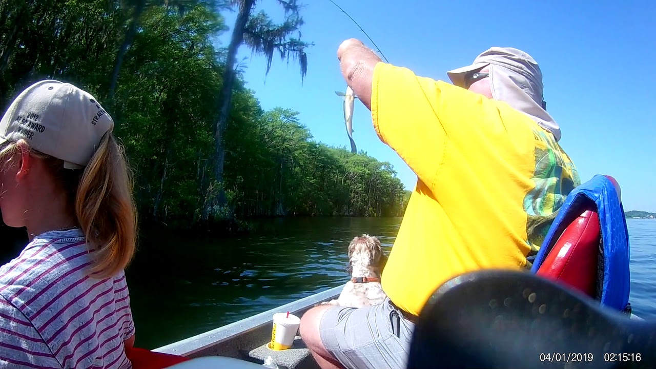 bass fishing Fawn and eli - YouTube