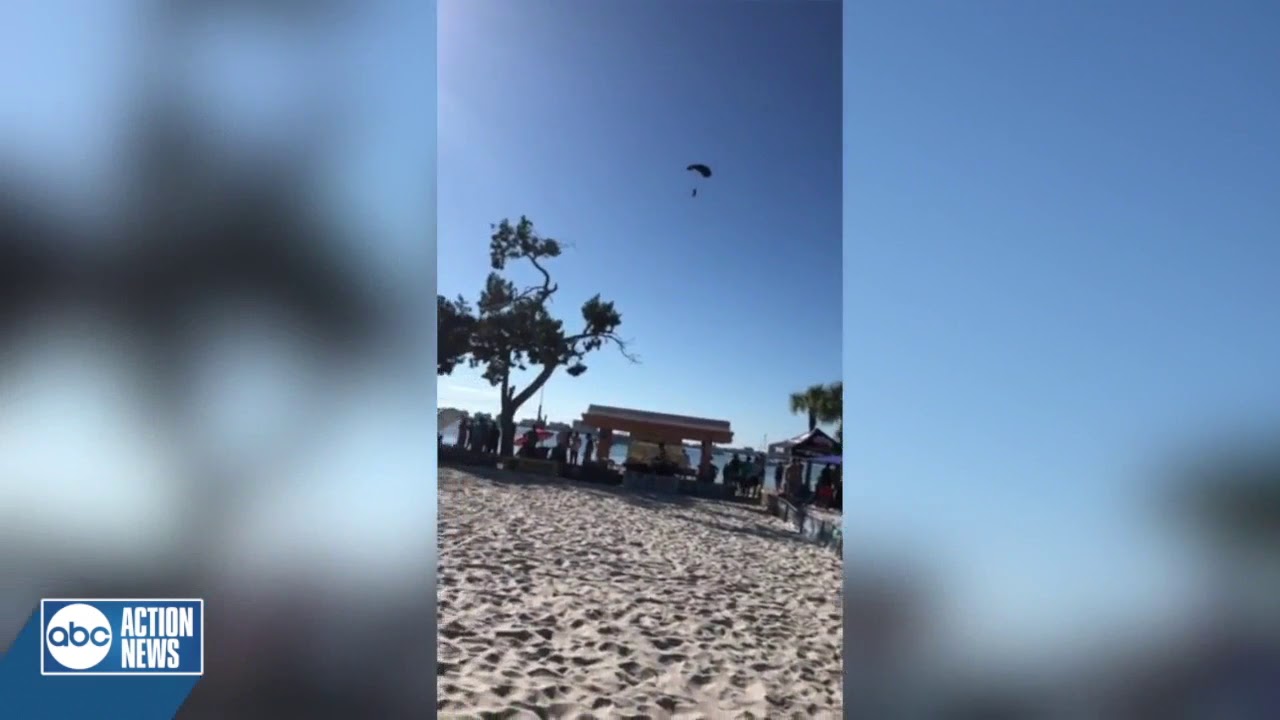 Skydiving Santa crashes into tree while delivering Elf on a Shelf ...