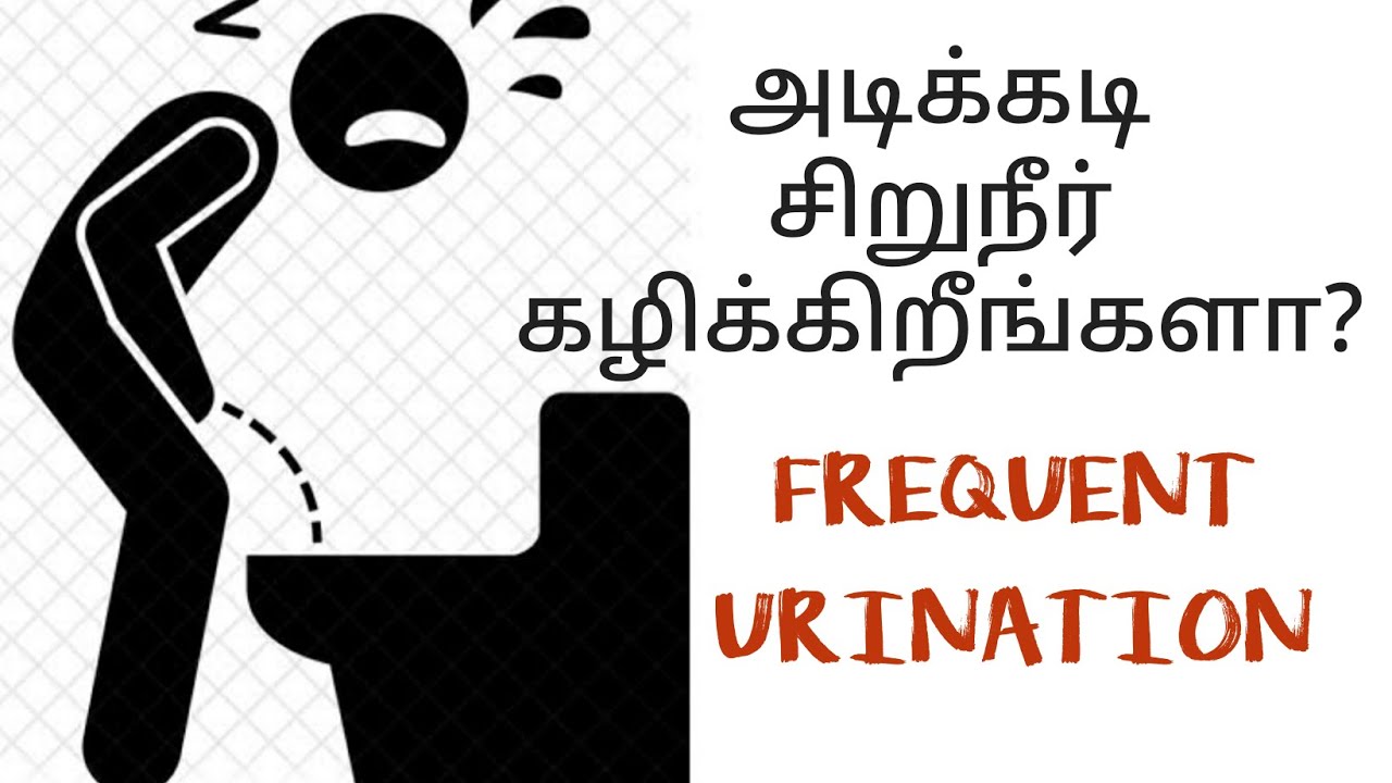 Adikadi Urine Vara Karanam In Tamil adikadi-urine-vara-karanam-in-tamil