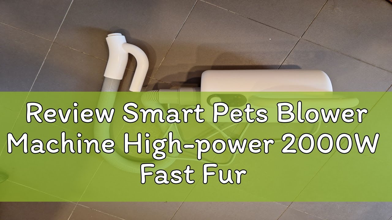 Review Smart Pets Blower Machine High-power 2000W Fast Fur Dryer For ...