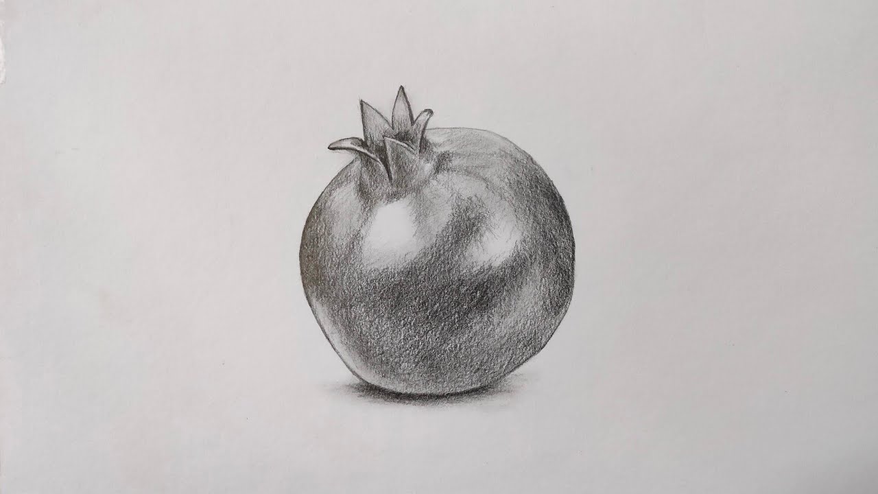 Pomegranate Tree Drawing Easy With Pencil