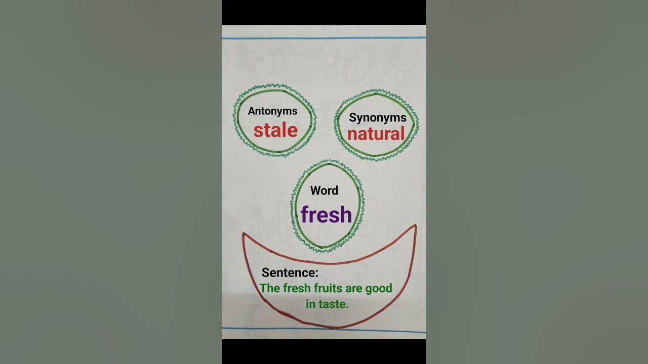shorts fresh Vocabulary antonym Of Fresh synonym Of Fresh sentence shorts-fresh-vocabulary-antonym-of-fresh-synonym-of-fresh-sentence