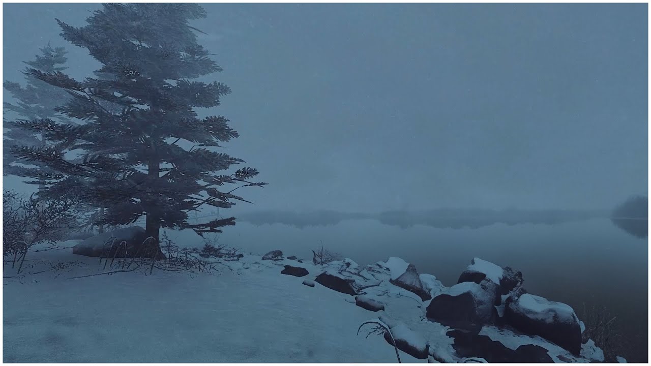 Frosty Wind Sound for Sleeping & Freezing Blizzard Storm┇Ultimate ...