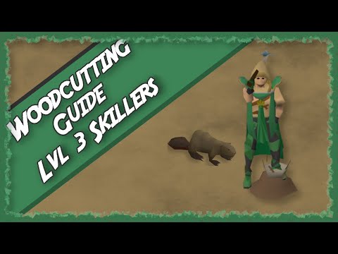 1-99 Woodcutting Guide for Level 3 Skillers