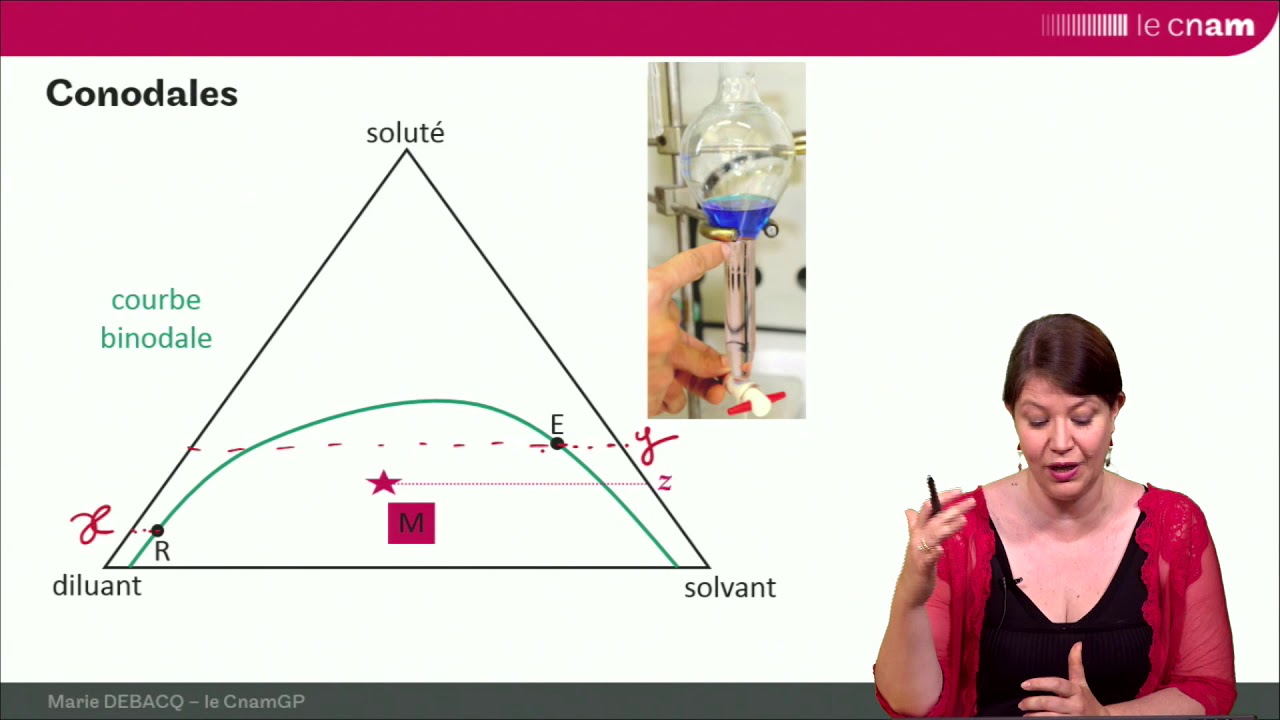 ELL 4 : conodales - YouTube
